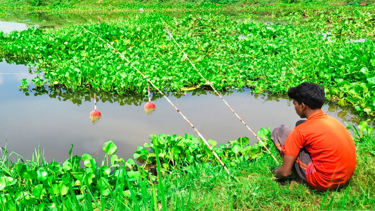 Fishing Video || Anyone will be impressed by the fishing talent of the ...