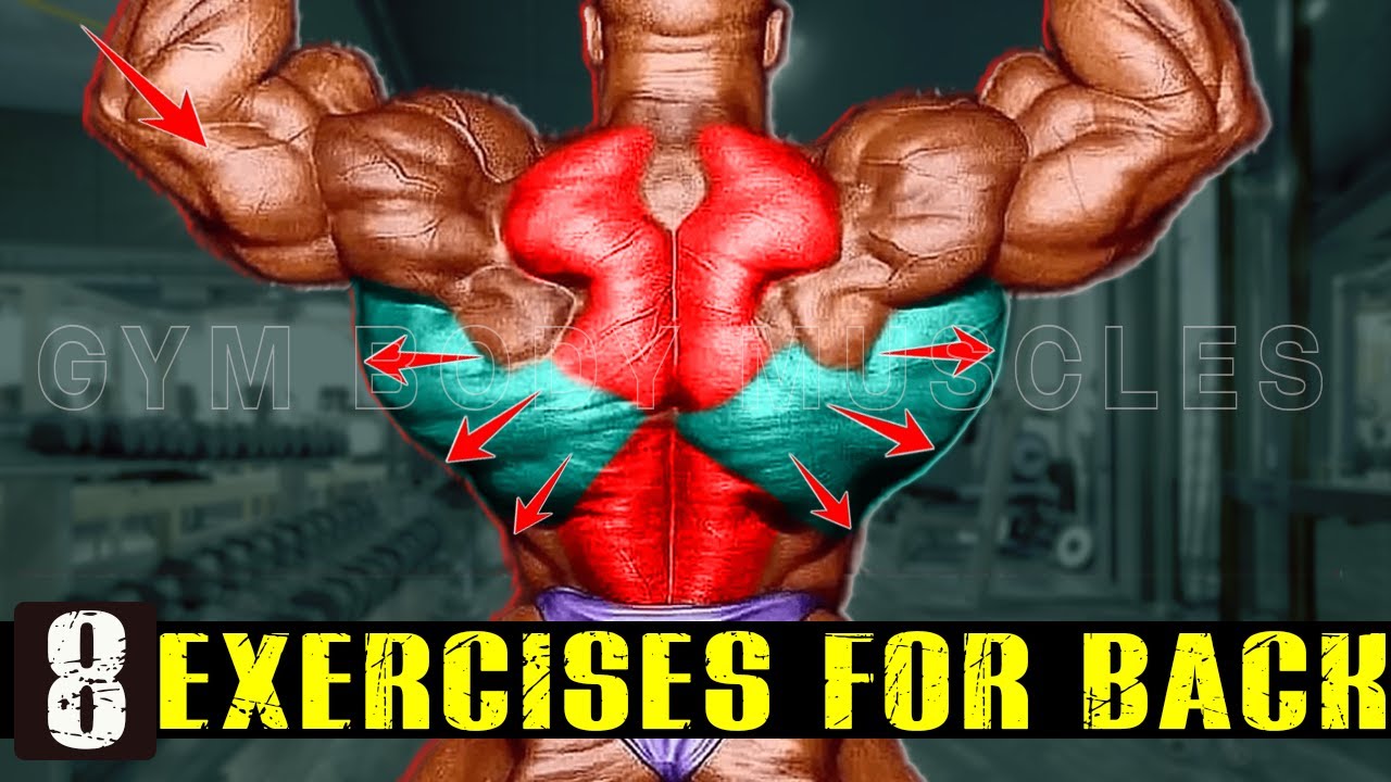 8 Back Exercises for Muscle Growth | Gym Body Muscles - YouTube