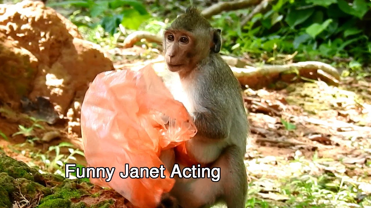 Funny Janet Acting Clip.. Janet doing something so funny strange,Janet ...