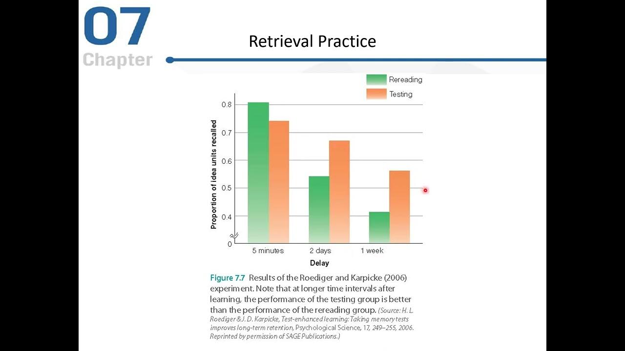 Cognitive Psychology Chapter 7 Lecture - YouTube