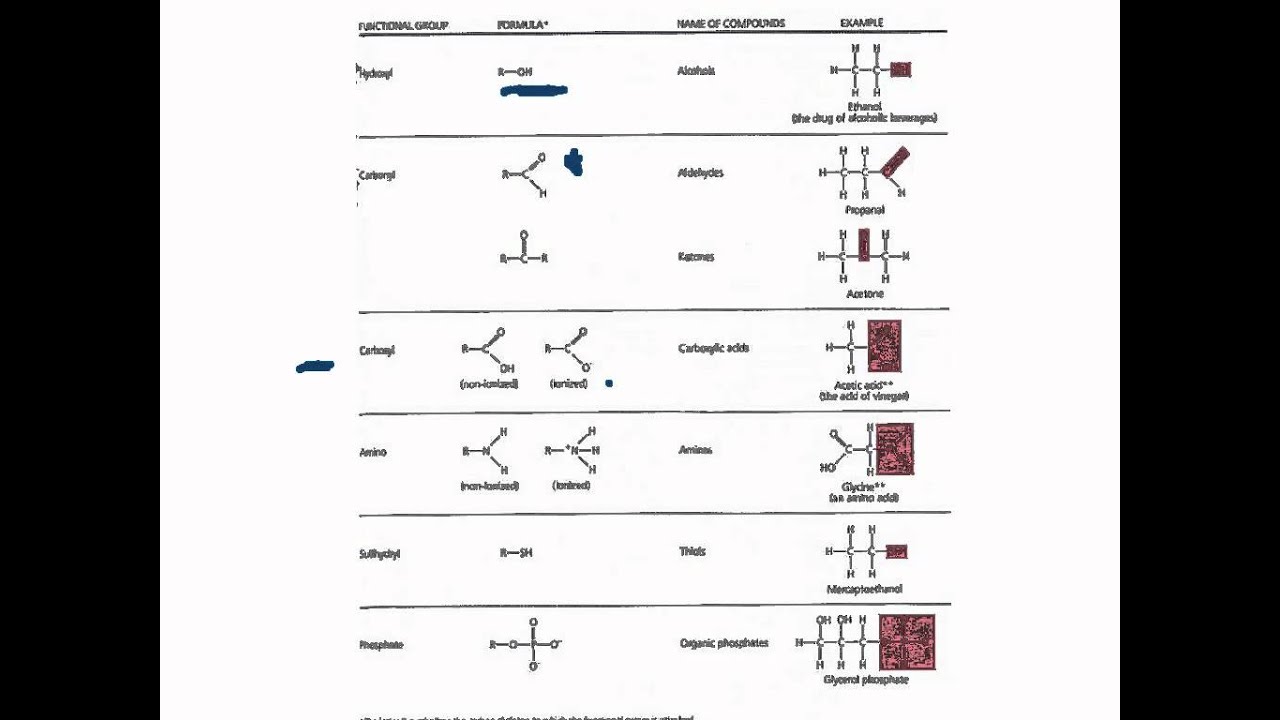 SBI4U Macromolecules/Carbs Part 1 - YouTube