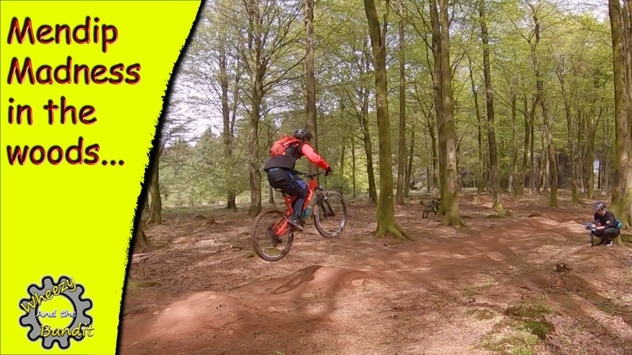 Rowberrow Warren - Mendip trails - YouTube