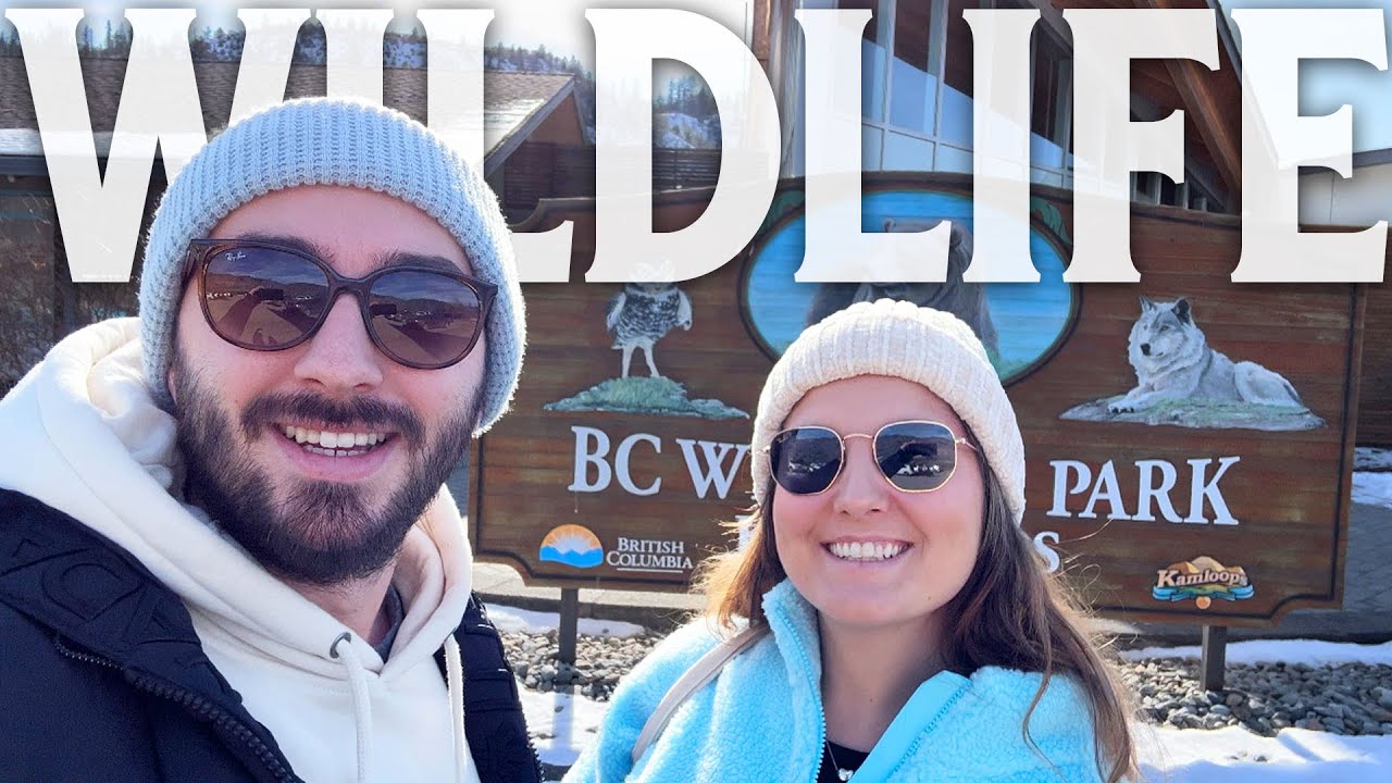 Seeing Real Canadian Wildlife | BC Wildlife Park, Kamloops - YouTube