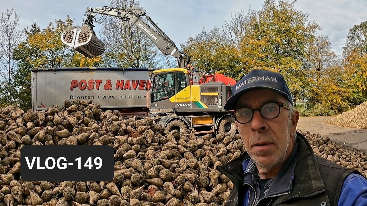FARMVLOG #149 suikerbieten afleveren, bladrammenas klappen, pink root ...
