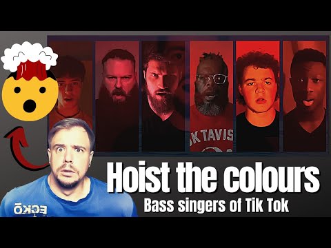 OH MY BASS! │ Hoist the Colours - The Bass Singers of TikTok - YouTube
