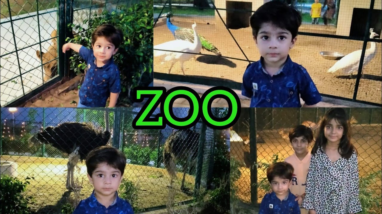AJ Bachon k Sath Zoo gy 🦆 | Zarqa Ali - YouTube