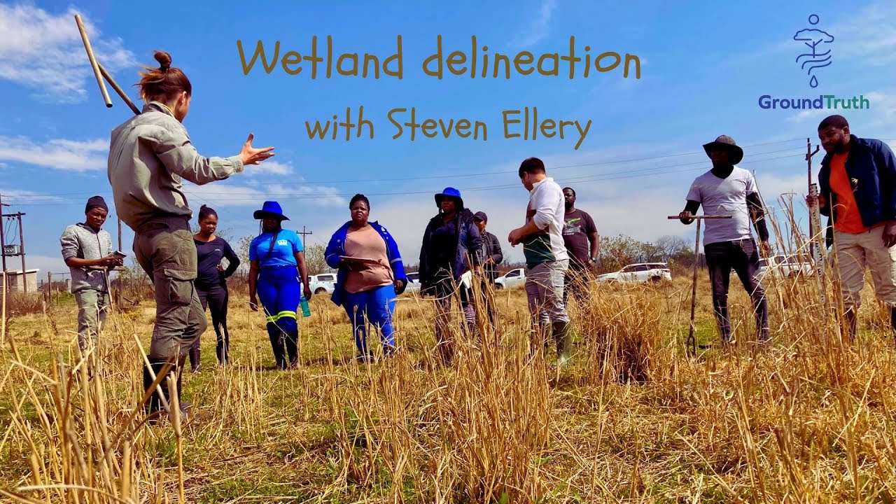 Wetland Delineation with Steven Ellery - YouTube