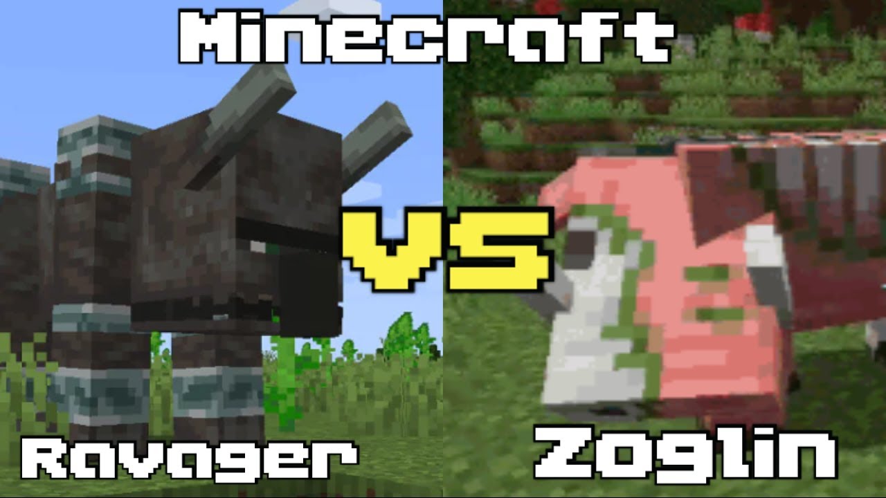 RAVAGERS VS ZOGLINS - Minecraft Arena - YouTube