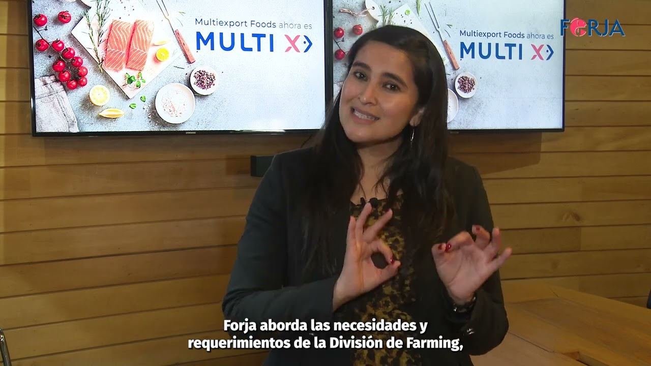 Te presentamos Forja, nuestro programa de formación corporativo. - YouTube