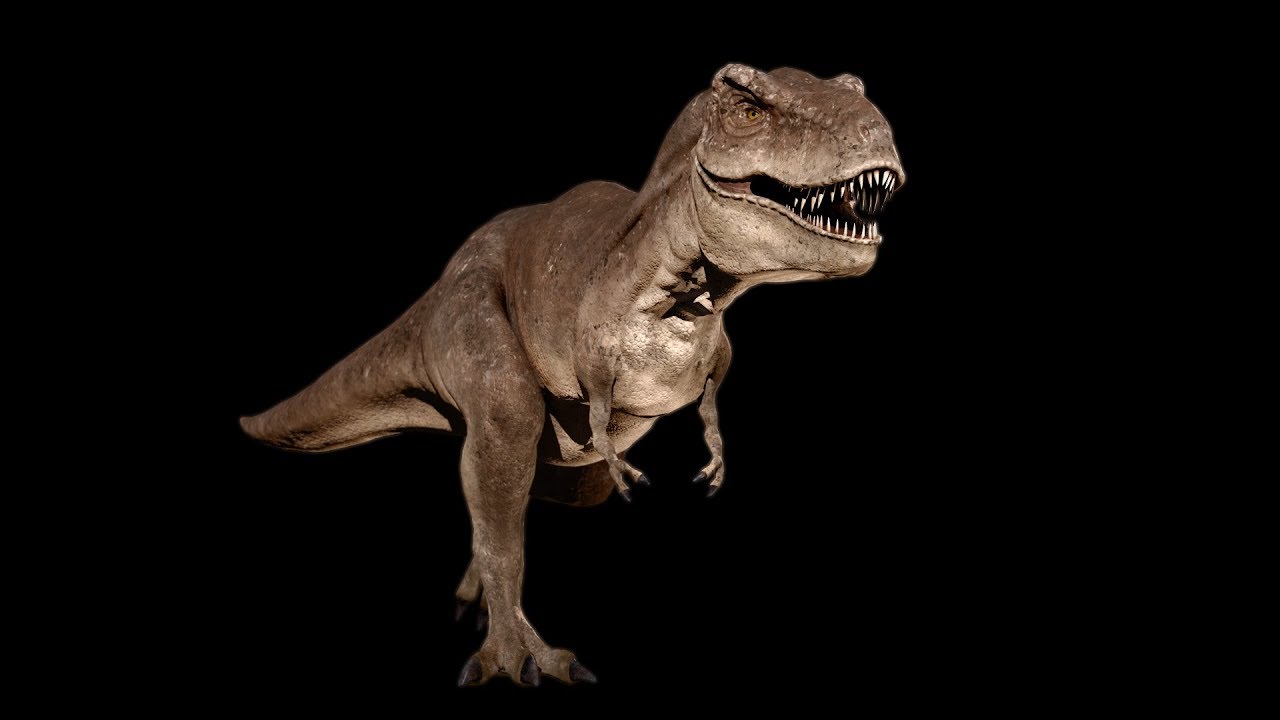 Tyrannosaurus REX Walk Cycle - YouTube