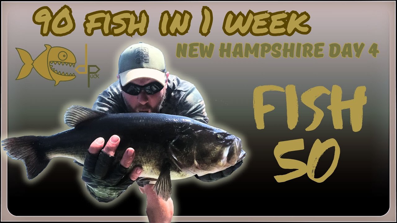 90 Fish in 1 week! Crossing the halfway mark! - YouTube