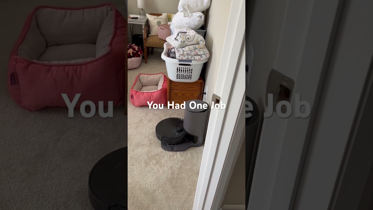 You Had One Job Dog Meme