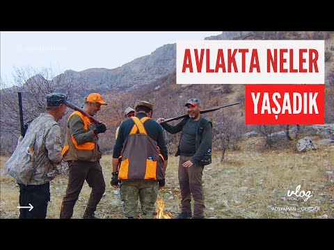 Av Herkese Göre Değil! Keklik ve Tavşan Avı #av #hunter #keklik #tavşan