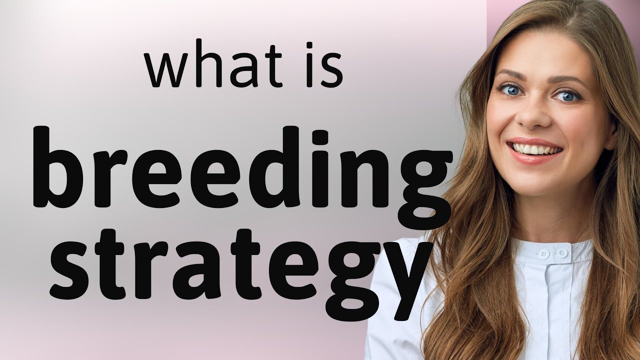 Understanding "Breeding Strategy": A Guide to English Language Learners ...