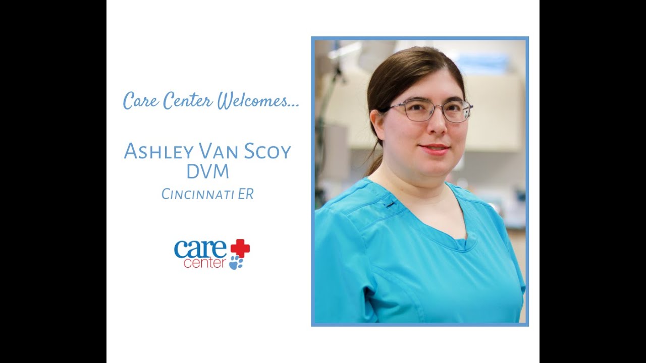 Care Center Welcomes Ashley Van Scoy, DVM! - YouTube