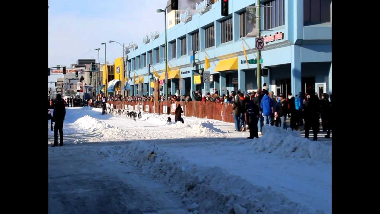 Anchorage Fur Rondy 2012, World Championship Sled Dog Race - YouTube