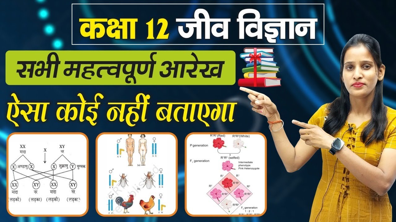 12th जीव विज्ञान के सभी महत्वपूर्ण आरेख,/12th biology important figure ...