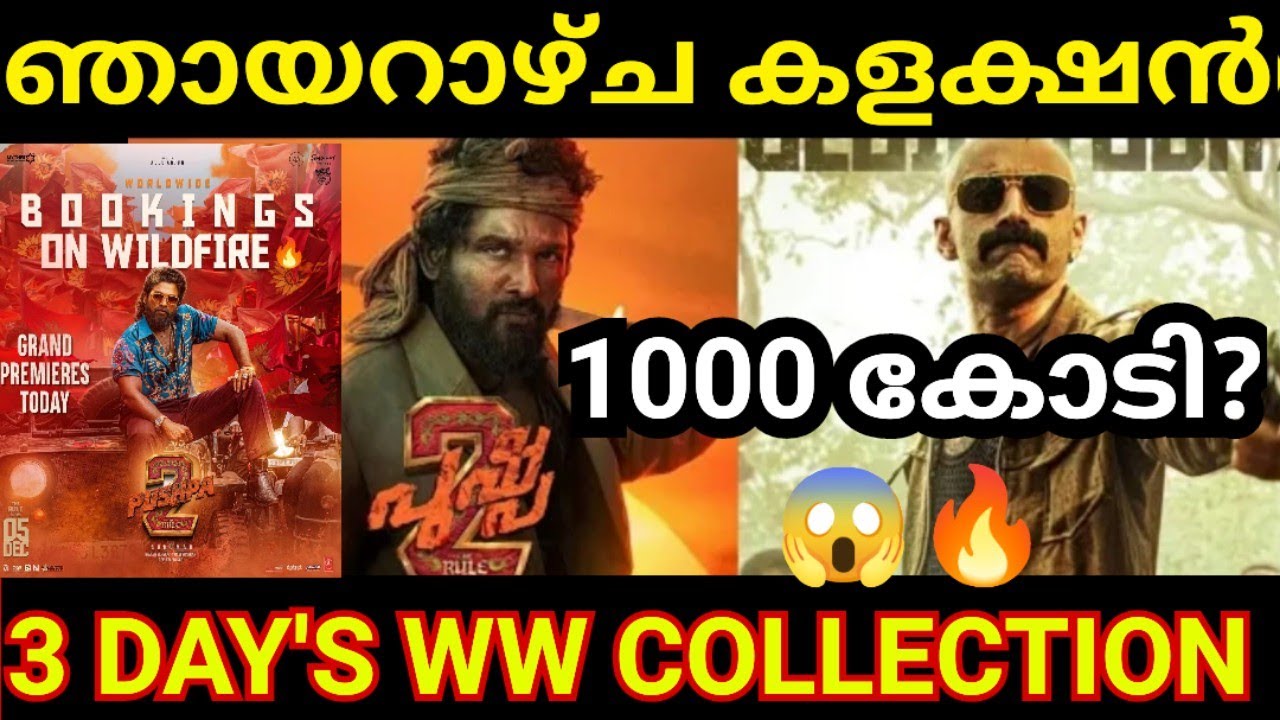 ഞായറാഴ്ച ദിവസവും റെക്കോർഡ് കളക്ഷൻ🔥 Pushpa 2 Sunday Collection | Pushpa ...