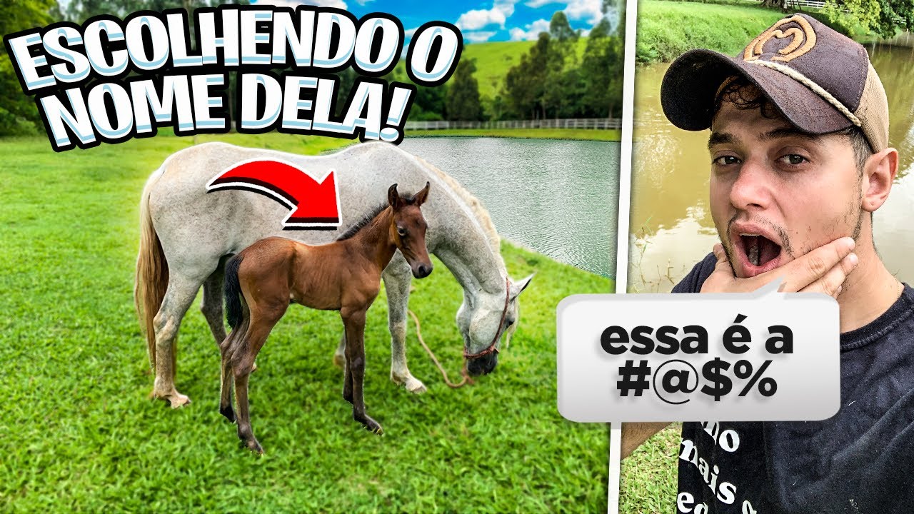 ESCOLHENDO o NOME da POTRA - YouTube