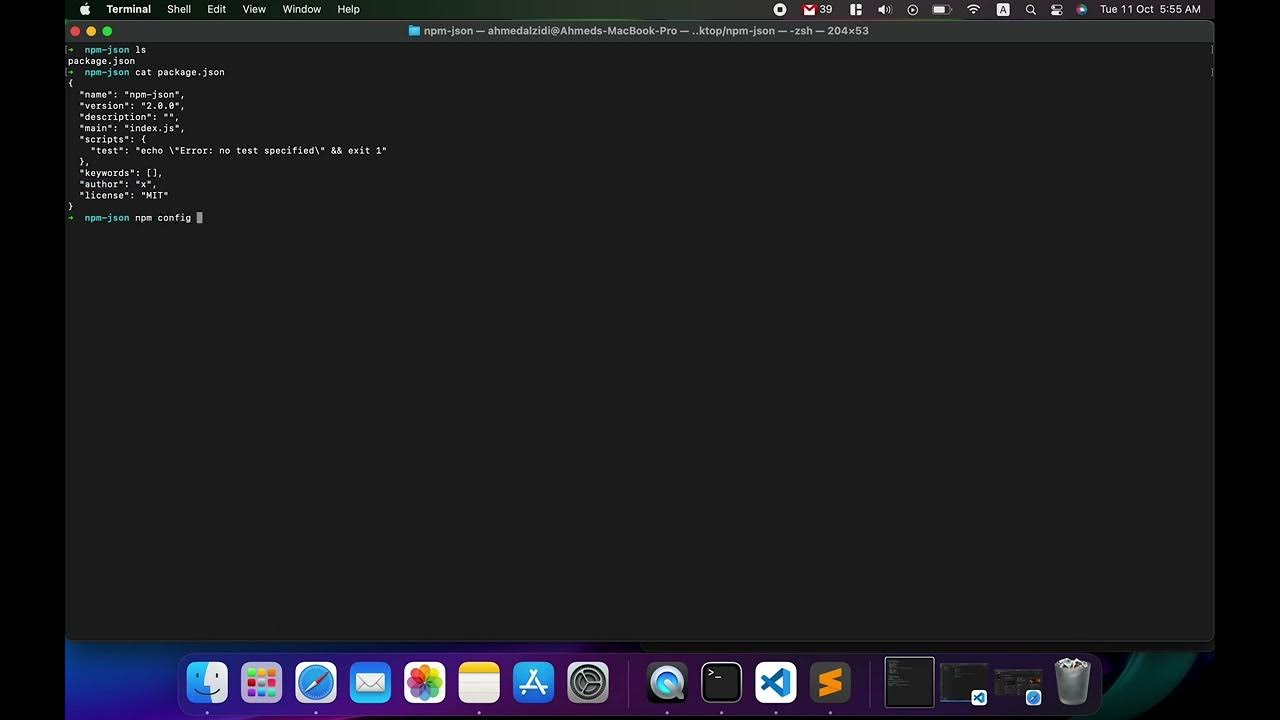 NPM: Change Default Settin In Json File - YouTube
