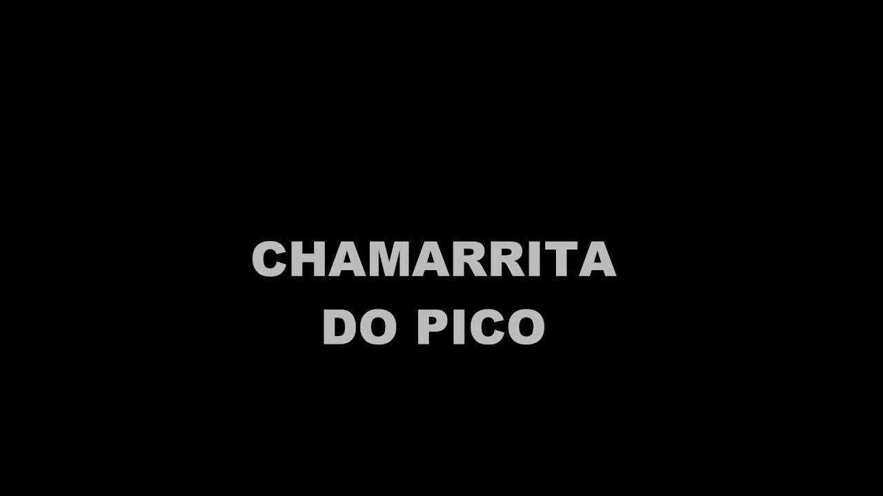 CHAMARRITA DO PICO MANDADA AUDIO HD - YouTube