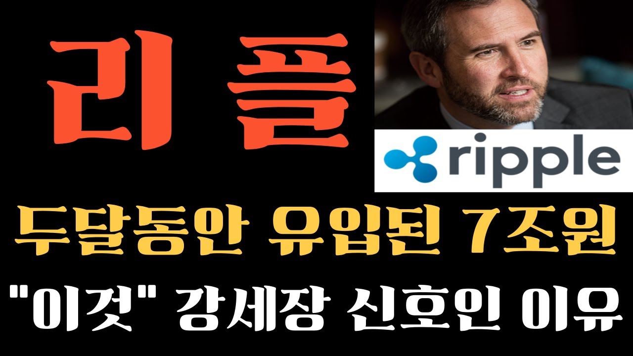 리플 코인 이것 강세장 신호인 이유 두달동안 유입된 7조원을 보셔야합니다 리플목표가 리플호재 리플전망 리플코인목표가 리플코인호재 리플코인전망 Youtube