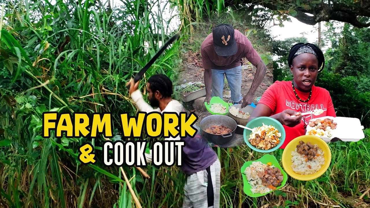 Farm Work & Cook Out Vibes (February 2025) - YouTube