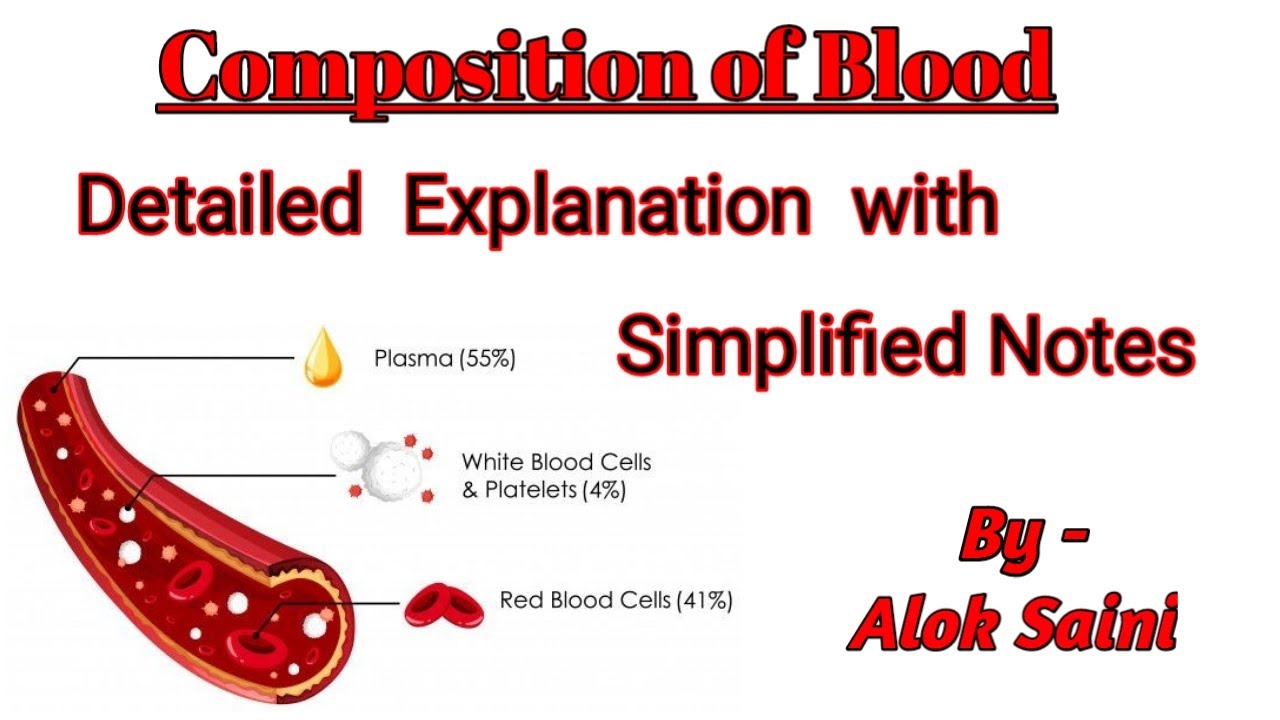Composition (Structure) of Blood with Simplified Notes - YouTube