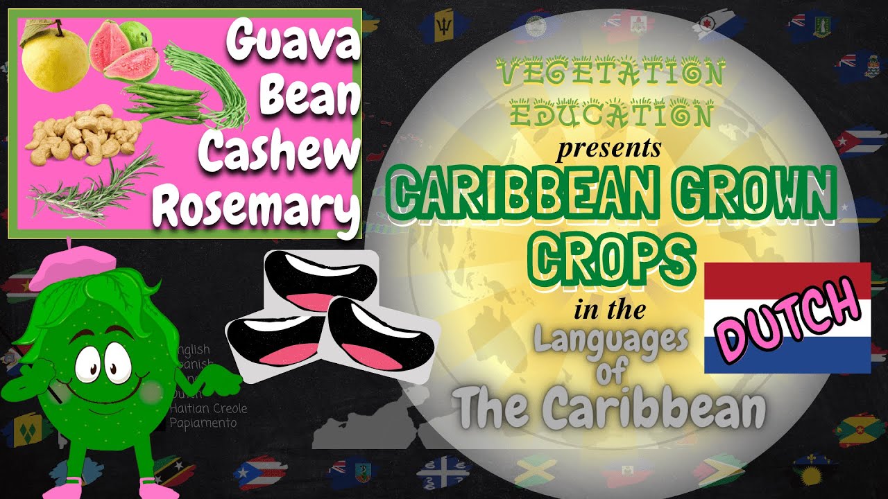 Guava, Bean, Cashew & Rosemary in Dutch! #VegetationEducation - YouTube