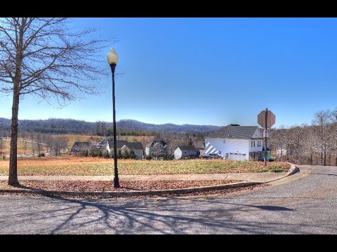 101 Mistletoeberry | The Preserve at Clinch River | Marina | Pool ...