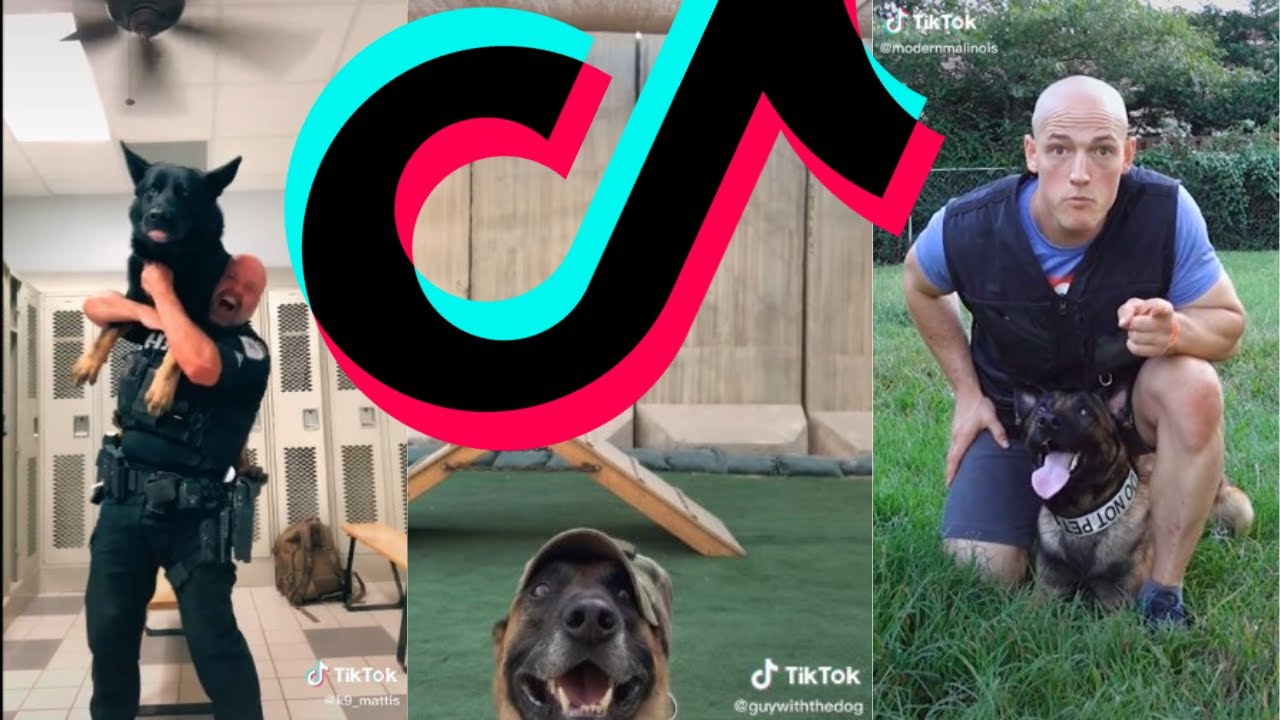 The Greatest K9 Police Dog TikTok Compilation | Dogs Of TikTok - YouTube