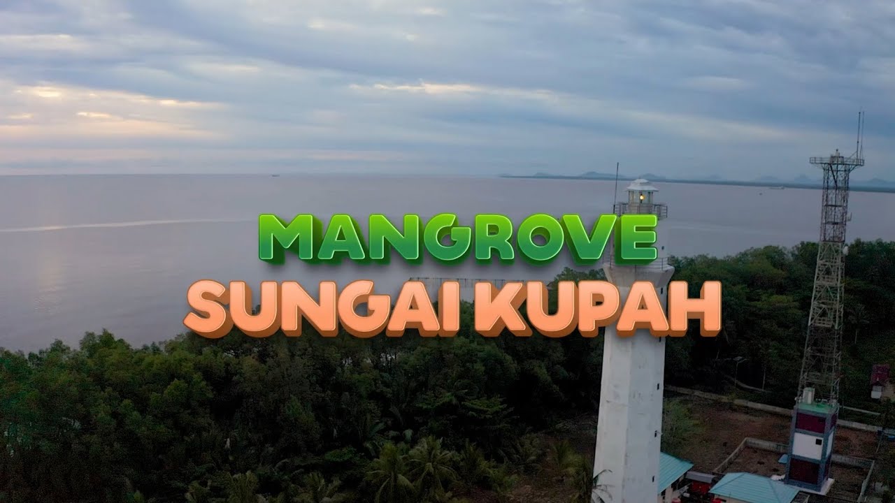 HUTAN MANGROVE SUNGAI KUPAH || Dokumenter RRI - YouTube