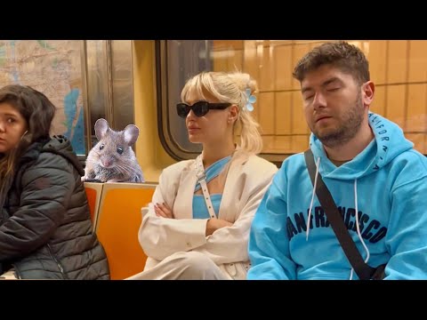 KÖŞE BUCAK NEWYORK TURU! METRO'DA FARE SALDIRDI!
