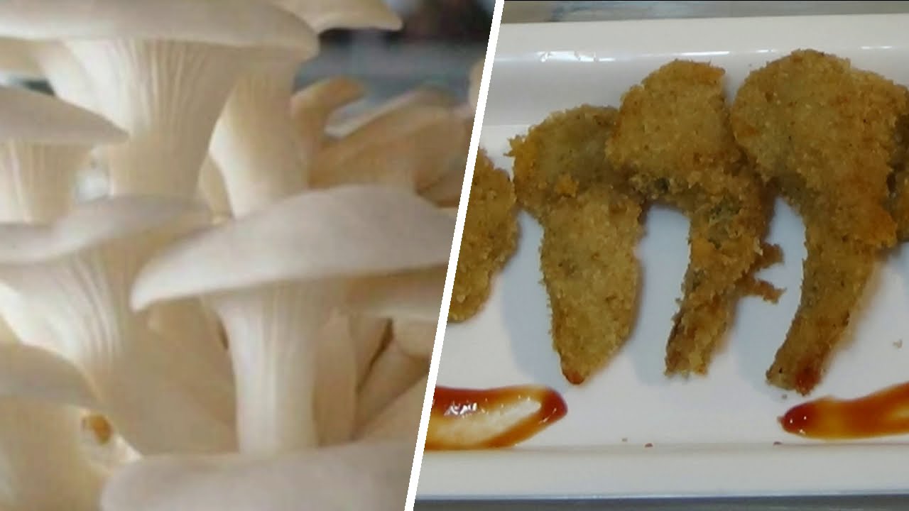 சிப்பிக்காளான் பிரை / Oyster mushroom Fry / Chippi kaalaan fry - YouTube