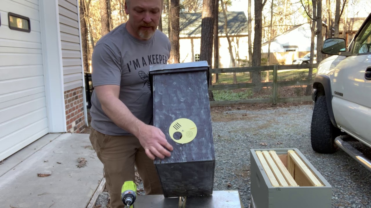 Swarm boxes for trapping Honey Bees - YouTube
