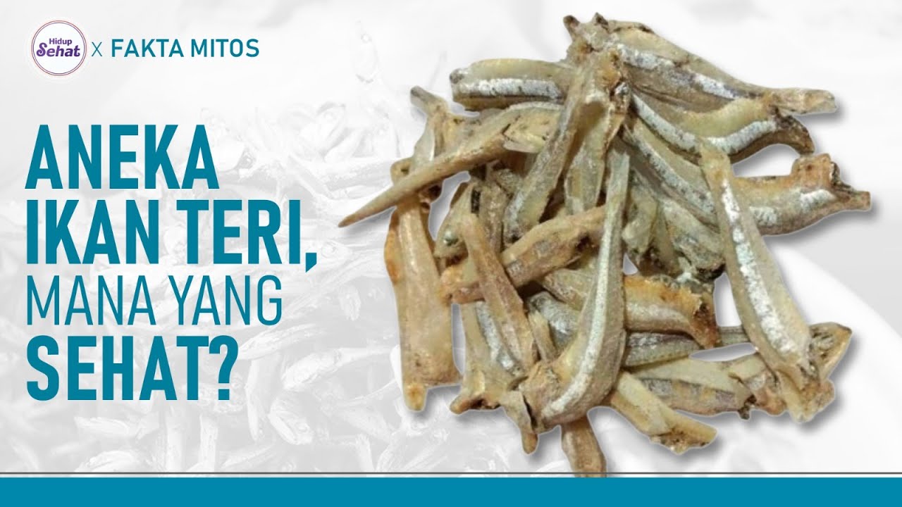 Jenis-jenis Ikan Teri dan Fakta Nutrisinya, Mana yang Sehat? | Hidup ...