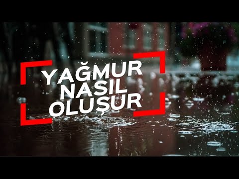 Yağmur nasıl oluşur ?