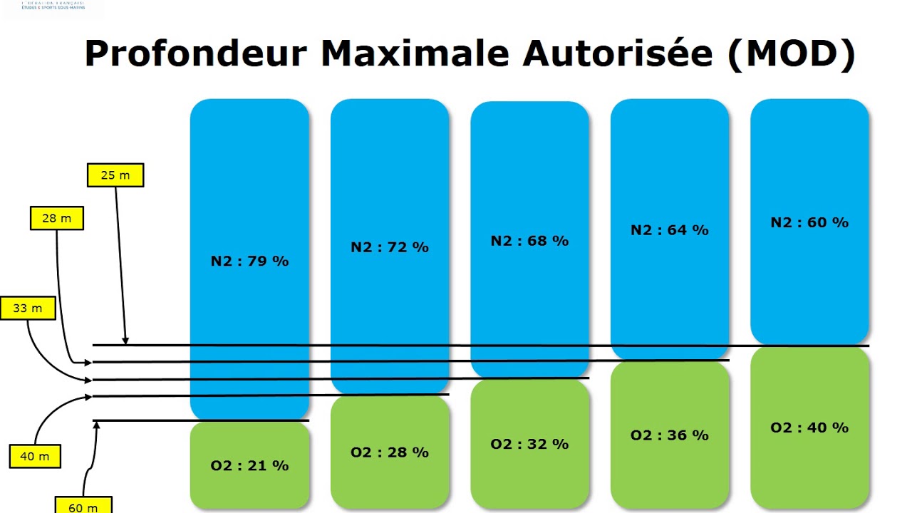Nitrox Cours 1 Nitrox l mentaire YouTube nitrox-cours-1-nitrox-l-mentaire-youtube
