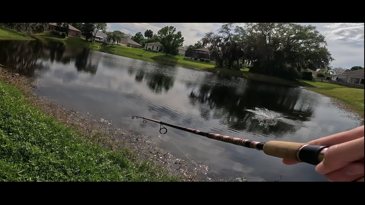 bass fishing in backyard lake!! caught a funky fish. - YouTube