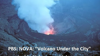 PBS Nova Documentary Collection - YouTube