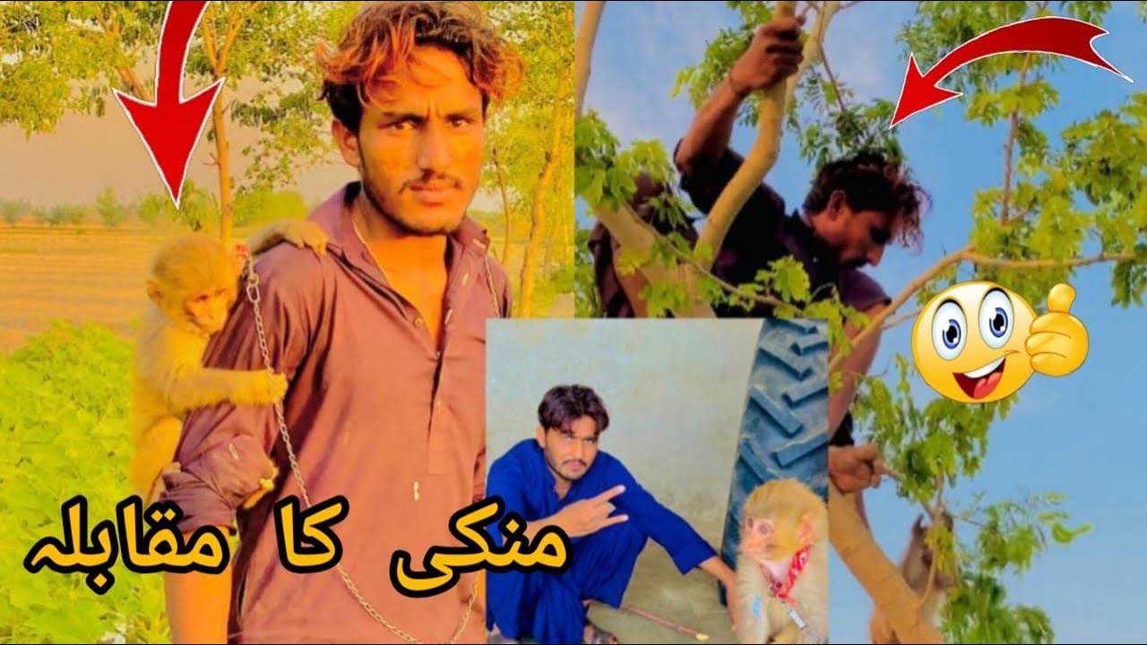Monkey ka khal tamasha funny video 😂 - YouTube