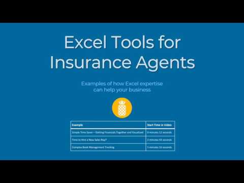 Excel Tools for Insurance Agents Examples - Pineapple Consulting Firm ...