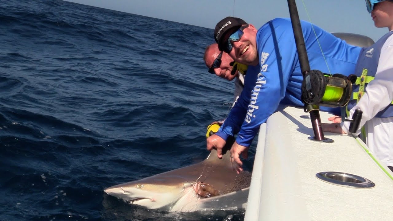 CATCHING A SHARK IN THE GULF OF MEXICO | BIG BIDNESS OUTDOORS - YouTube