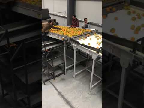 Eryılmaz narenciye paketleme tesisi