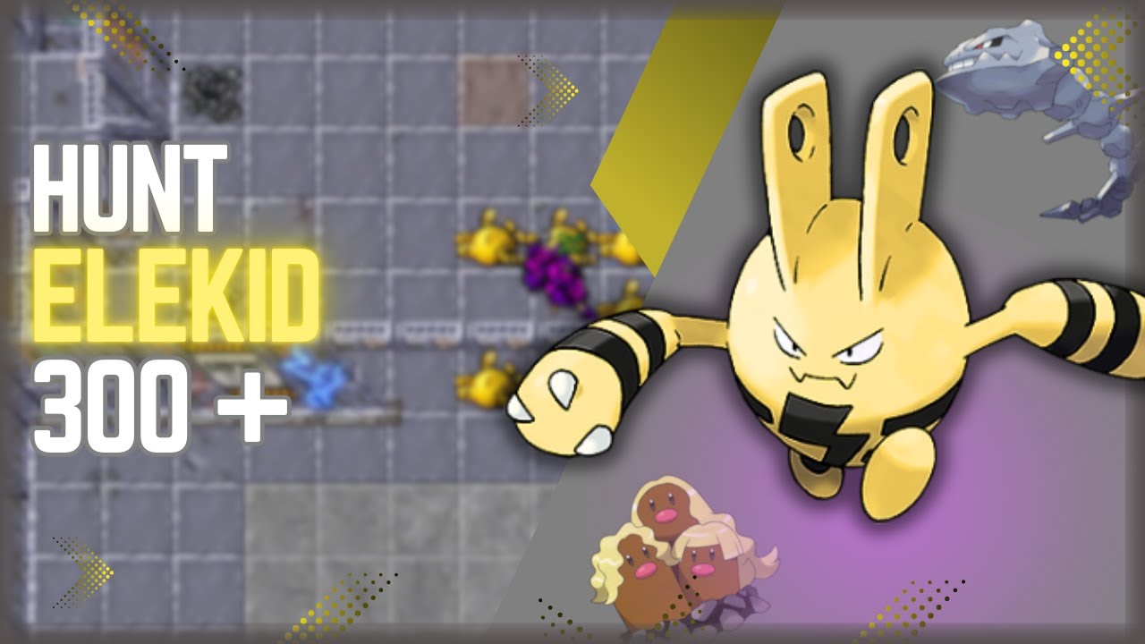 ELEKID 300 + (Dicas + Rotação) para a melhor hunt NW | PokeXGames - YouTube