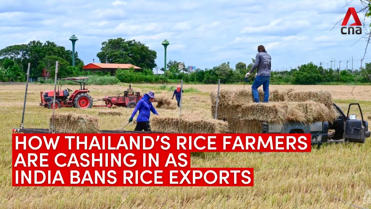 Thailand's rice farmers reap profits amid global price spikes and ...