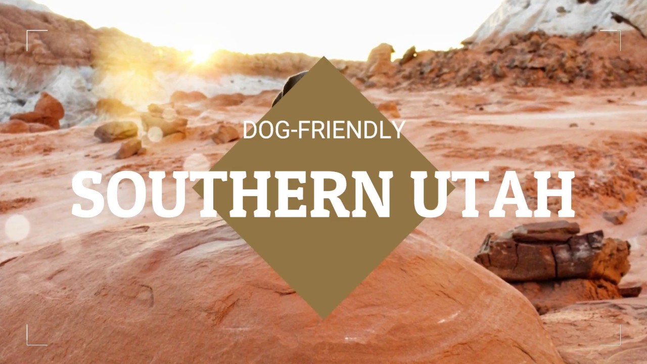 Dog Friendly Trip To Southern Utah YouTube dog-friendly-trip-to-southern-utah-youtube