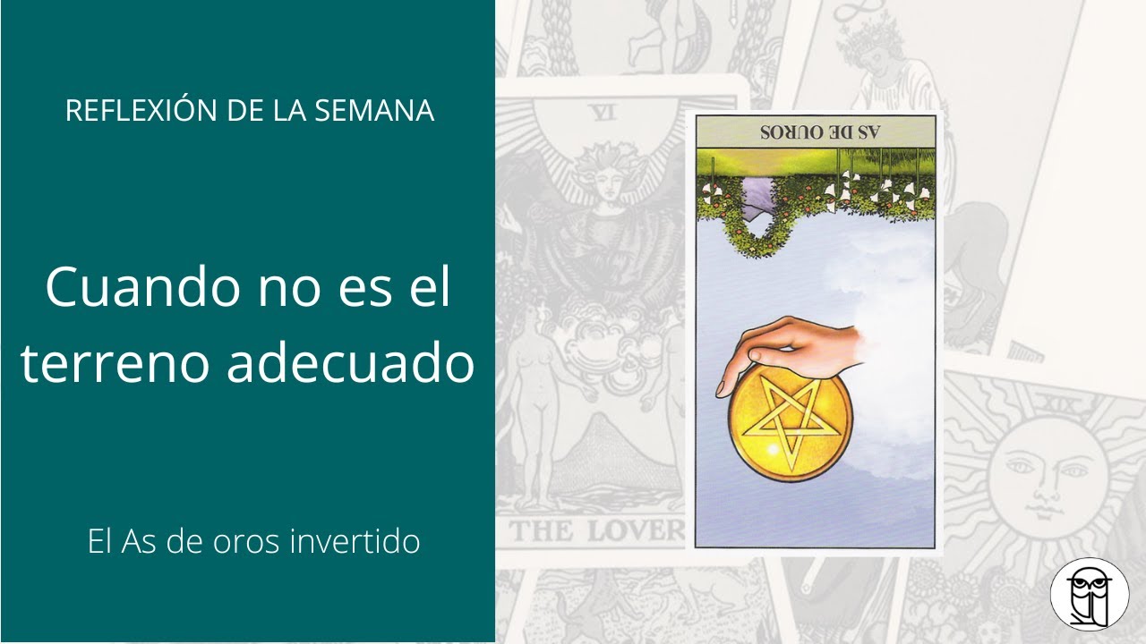 TAROT | As de Oros invertido: ¿Es el terreno adecuado? - YouTube