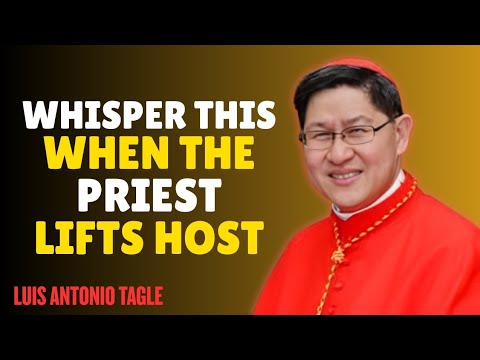 PRAY THIS When the Priest Elevates the Sacred Host | Cardinal Luis ...