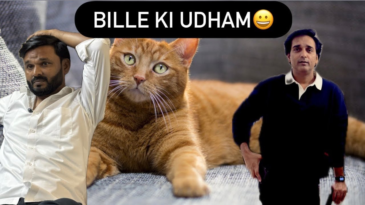 Or lo billa palo billa Anna 🤣 - YouTube